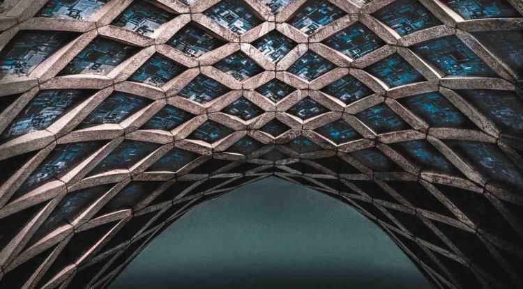 Biomimicry in Structural Design: What U.S. Engineers Can Learn from Nature - Consac